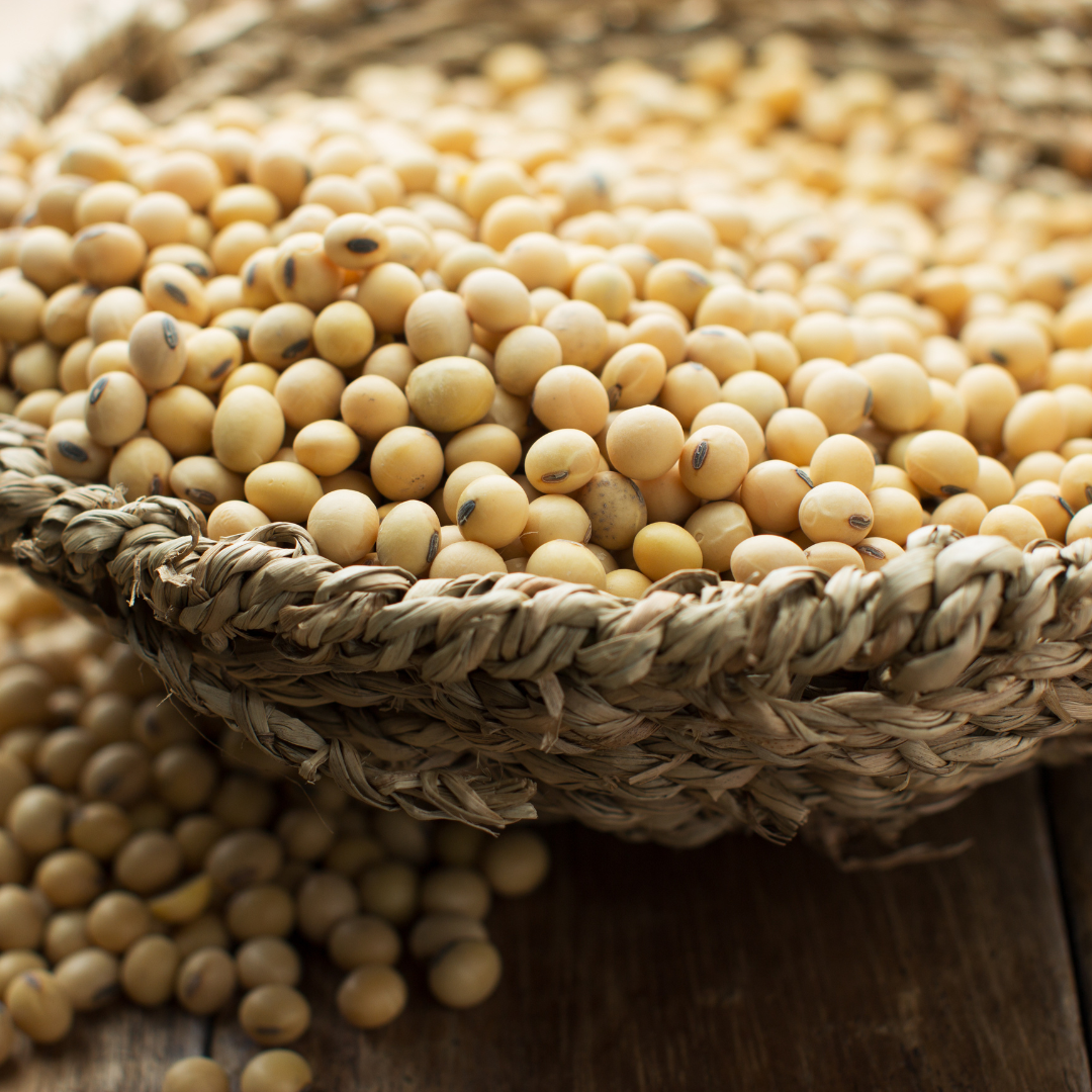 soybeans milk