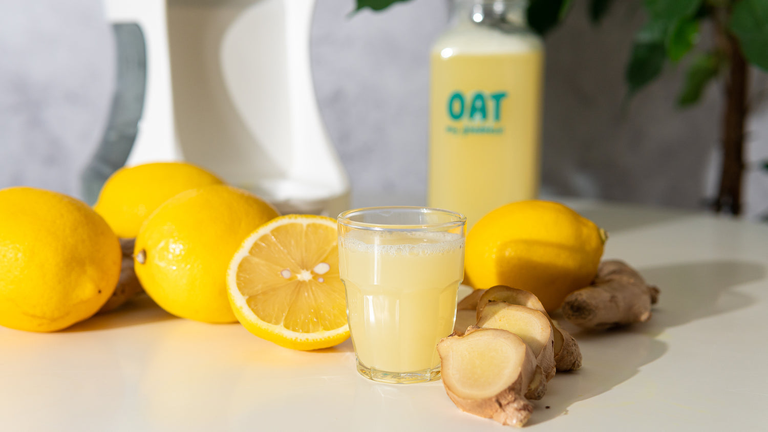 Ginger Shot – milkyplant