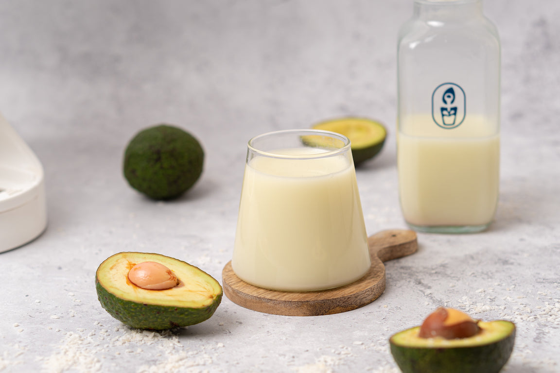 Avocado Milk – milkyplant