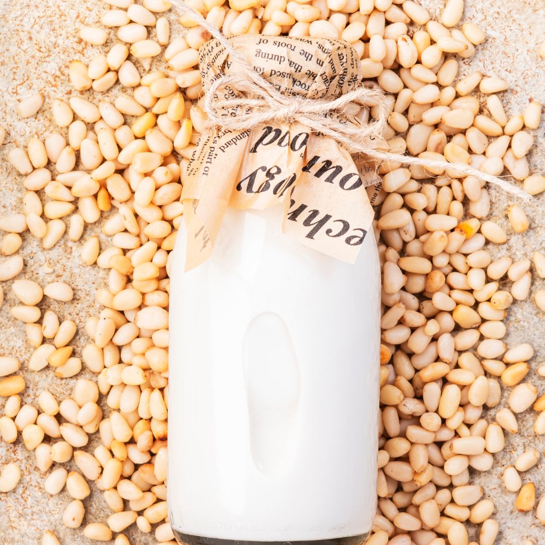 Benefits of Pine Nuts Milk – milkyplant