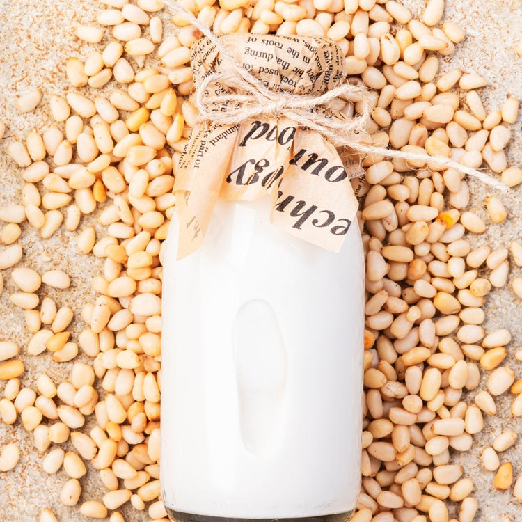 Benefits of Pine Nuts Milk – milkyplant