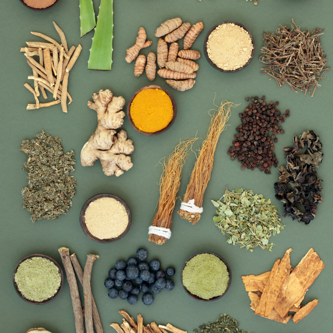 Biohacking Your Morning with Plant Milk Lattes and Biohacking Your ...