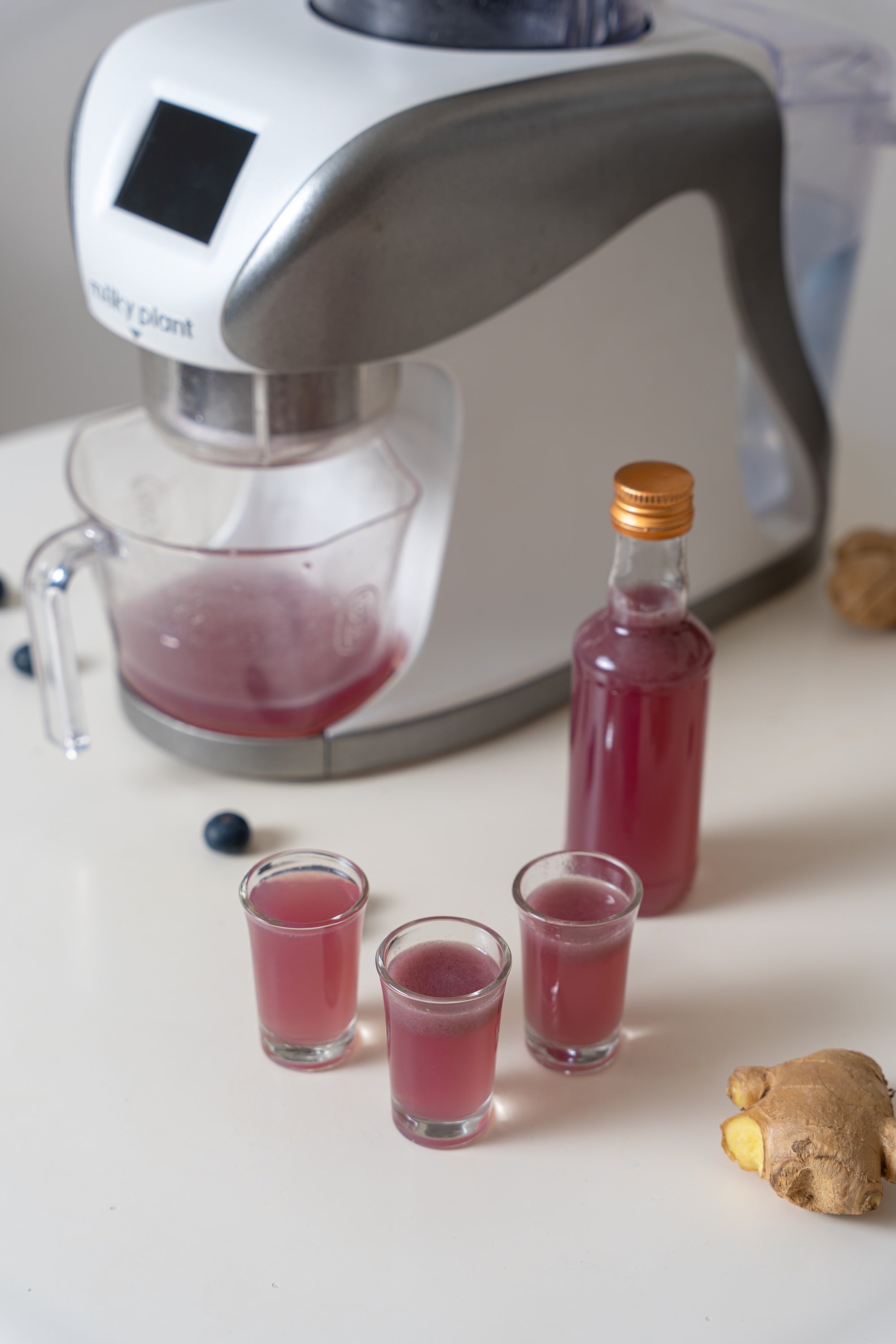 Blueberries Shot – milkyplant