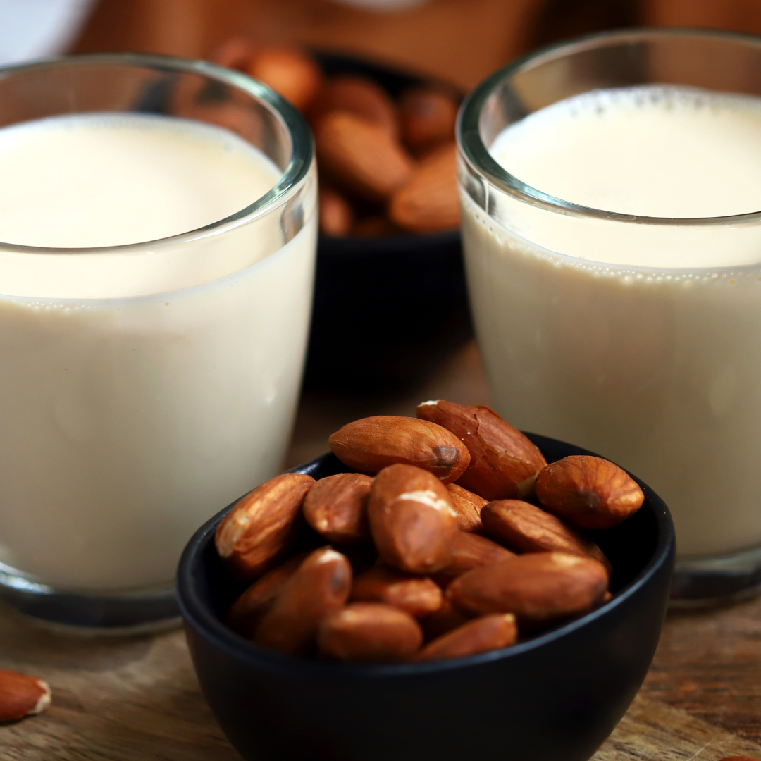 Celebrate Plant Power Day with Fresh, Homemade Plant Milk – milkyplant