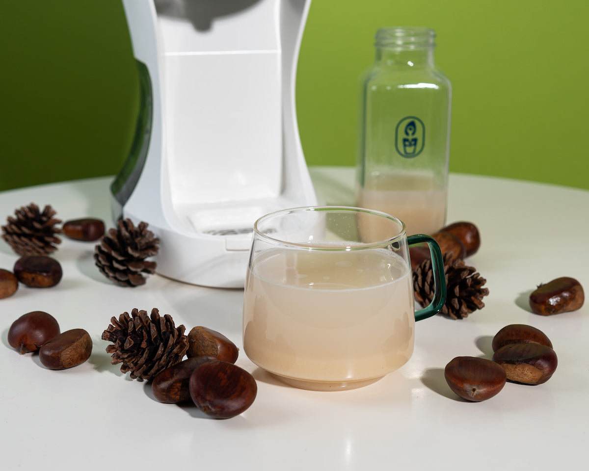 Chestnut Milk – milkyplant