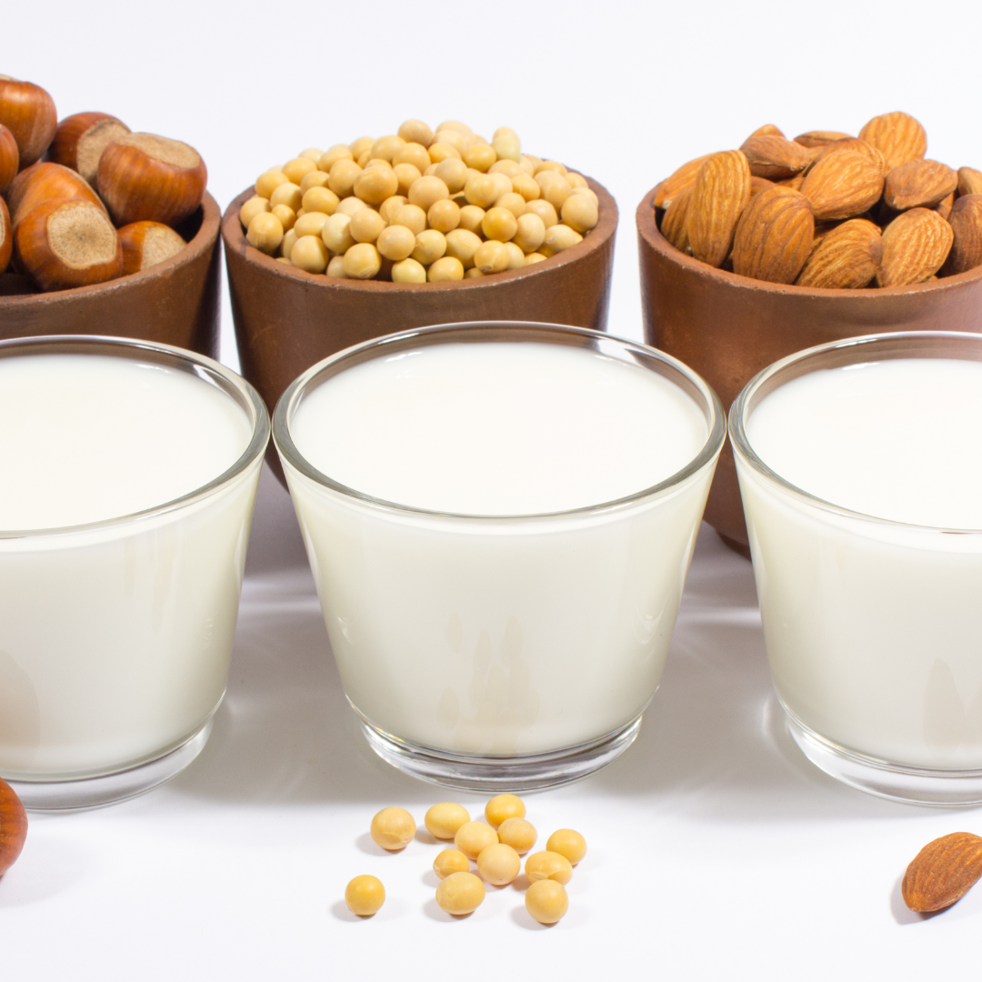 Ditch Dairy This February: How to Transition to Homemade Plant Milk ...