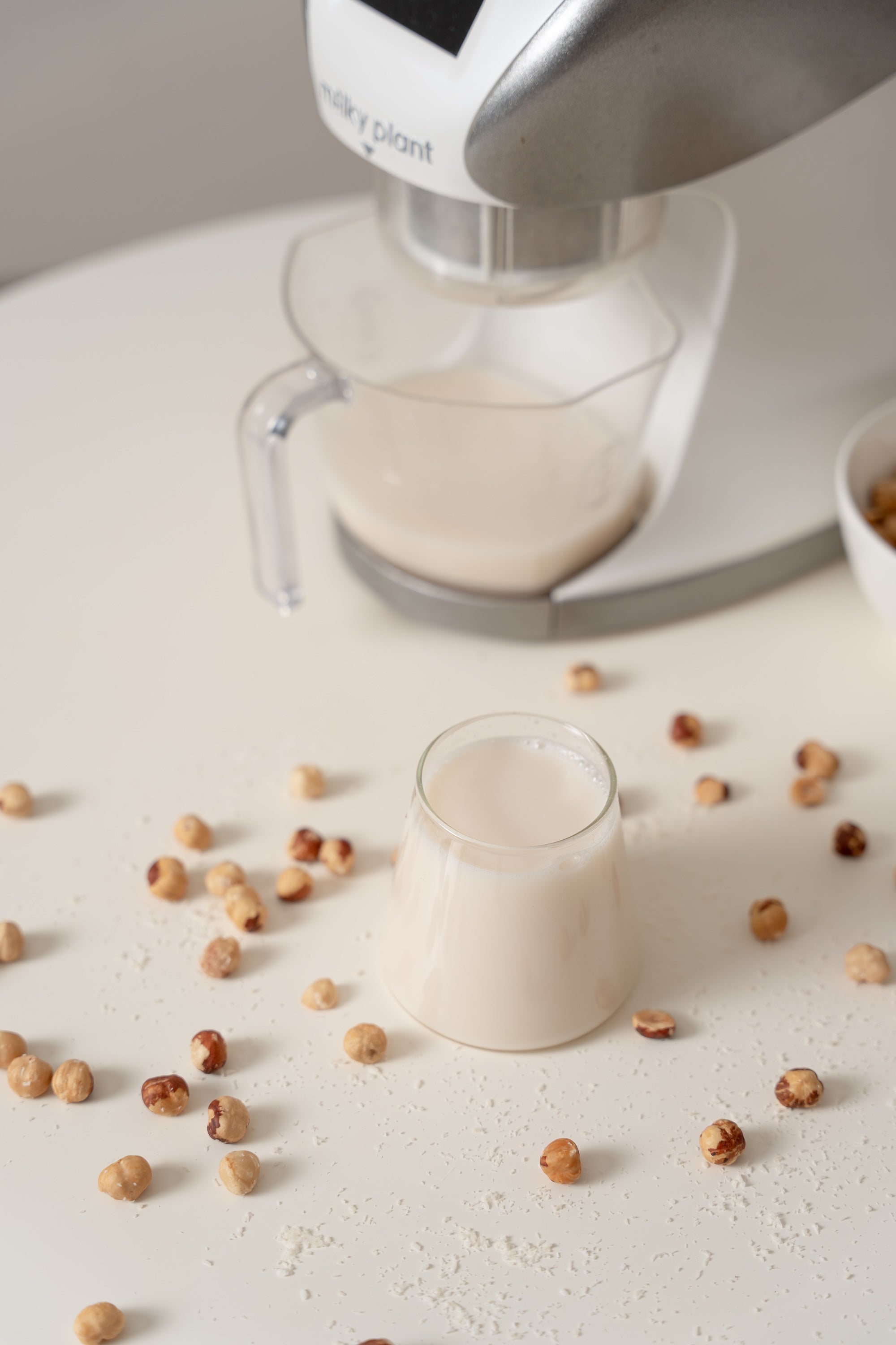 Hazelnut Coconut Milk – milkyplant