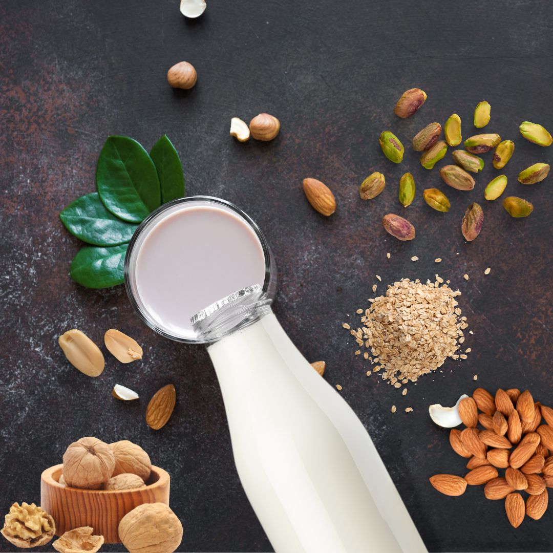 How to Increase the Protein Value of Your Plant Milk? – milkyplant