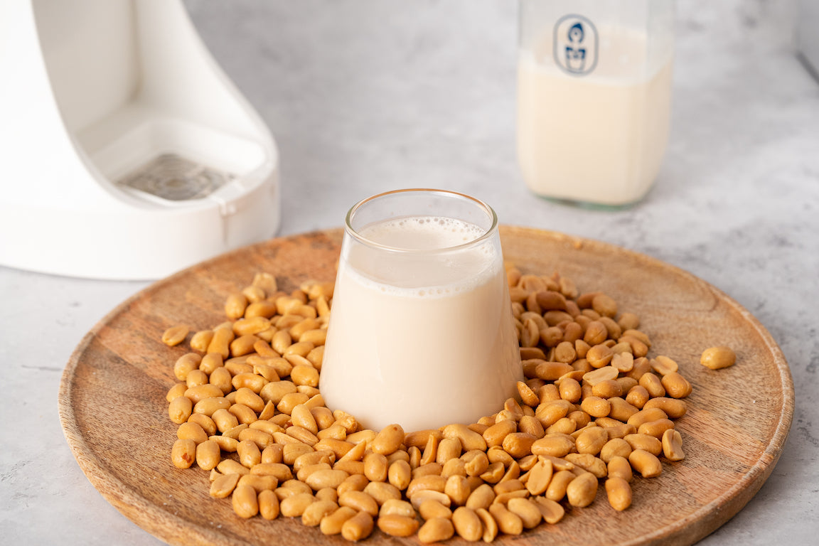 Peanut Milk – milkyplant