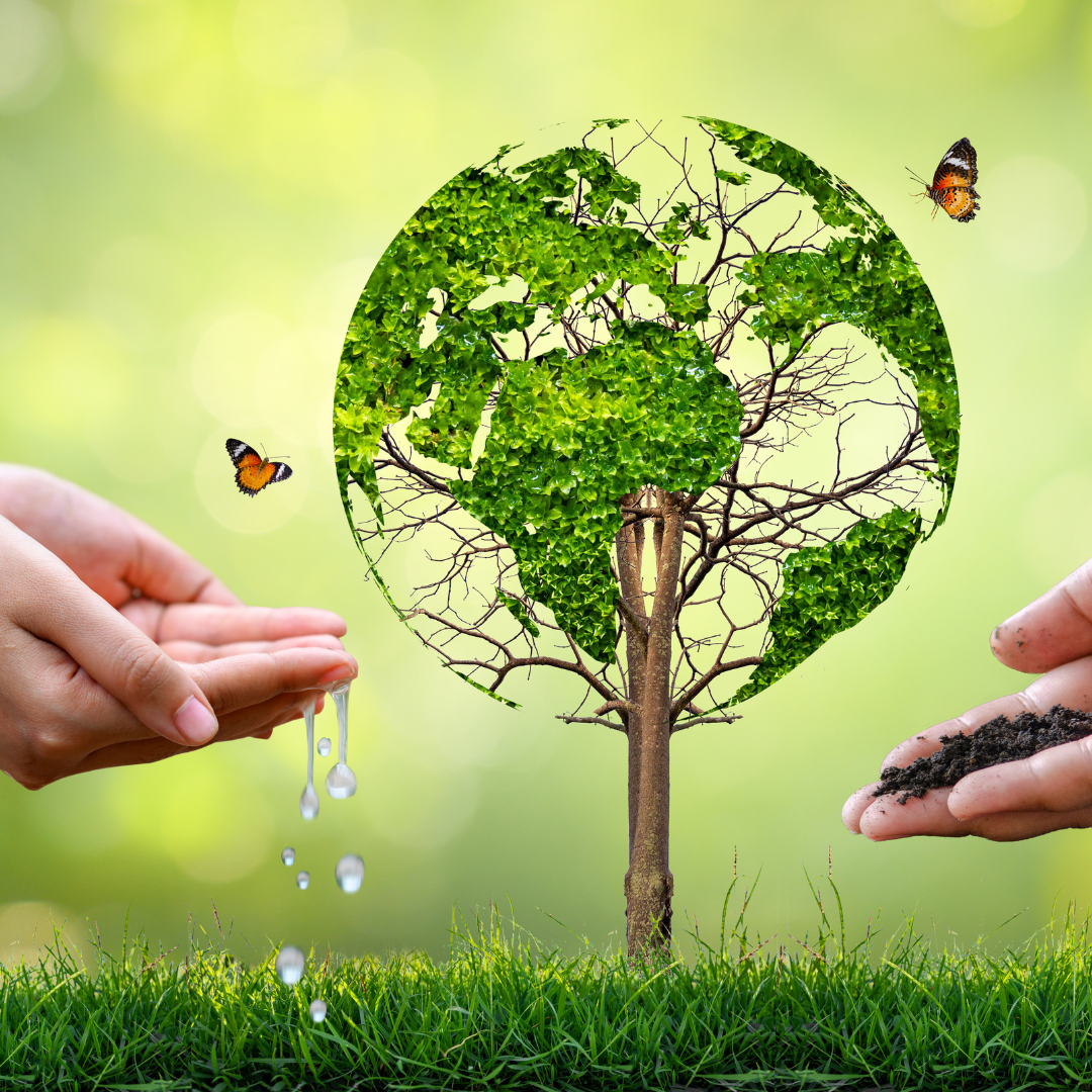 The Environmental Impact of Shelf Almond Milk Production: Why Making i ...