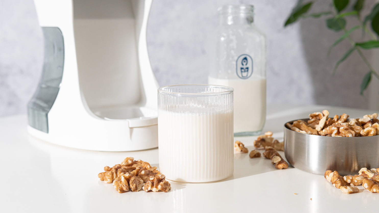 Walnut Milk – milkyplant