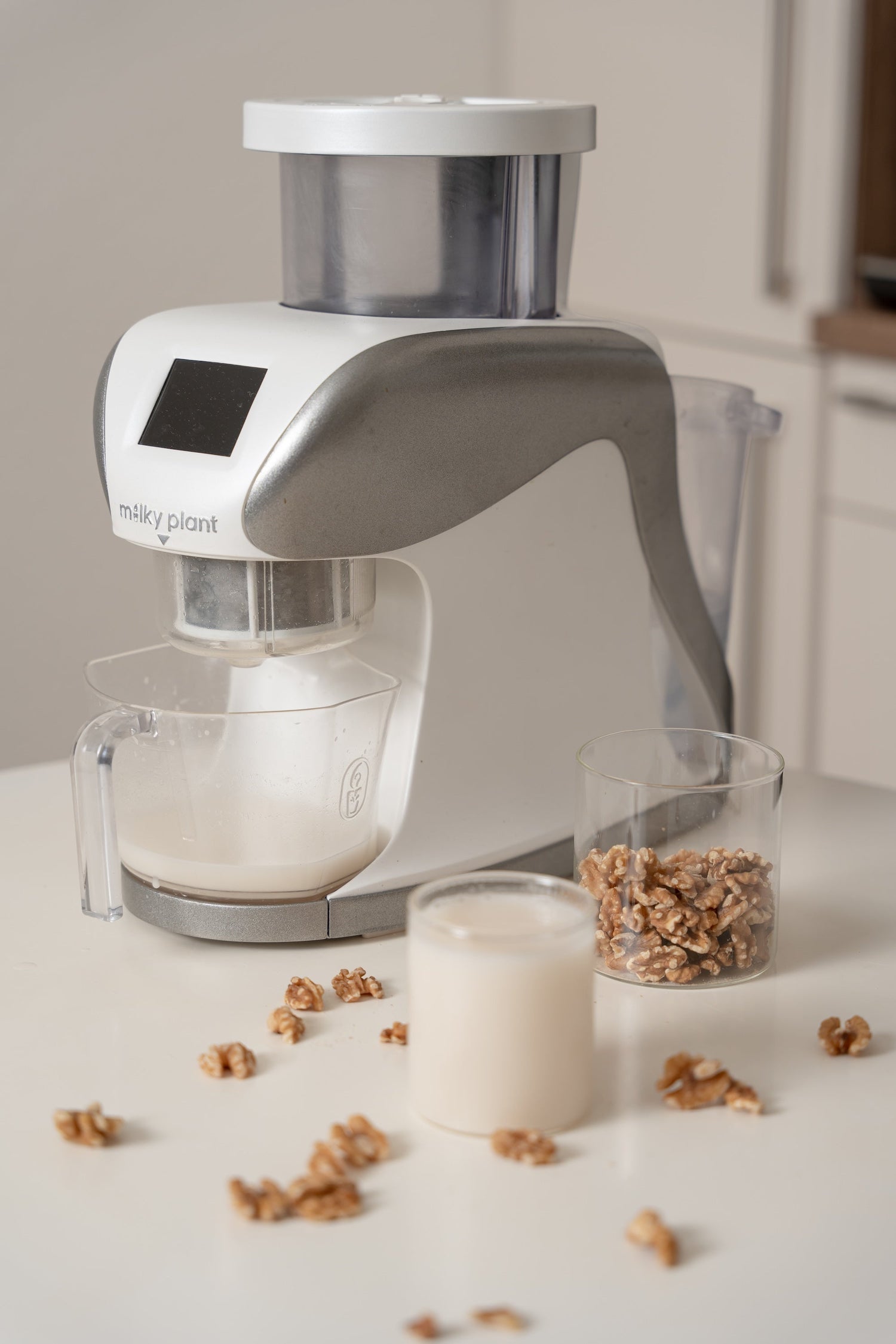 Walnut Milk – milkyplant