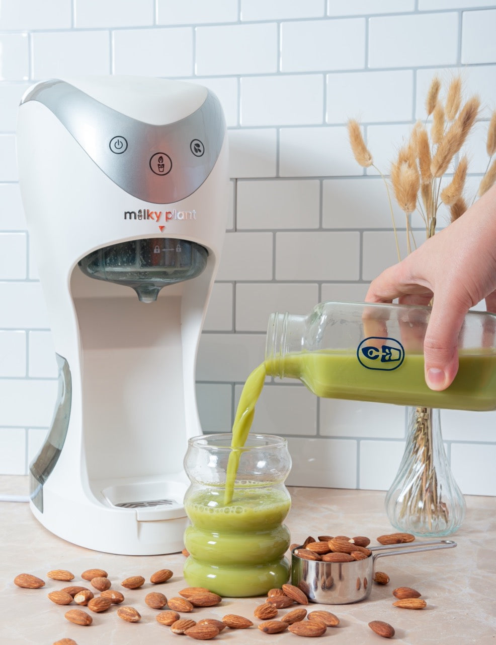Almond Matcha Milk – milkyplant