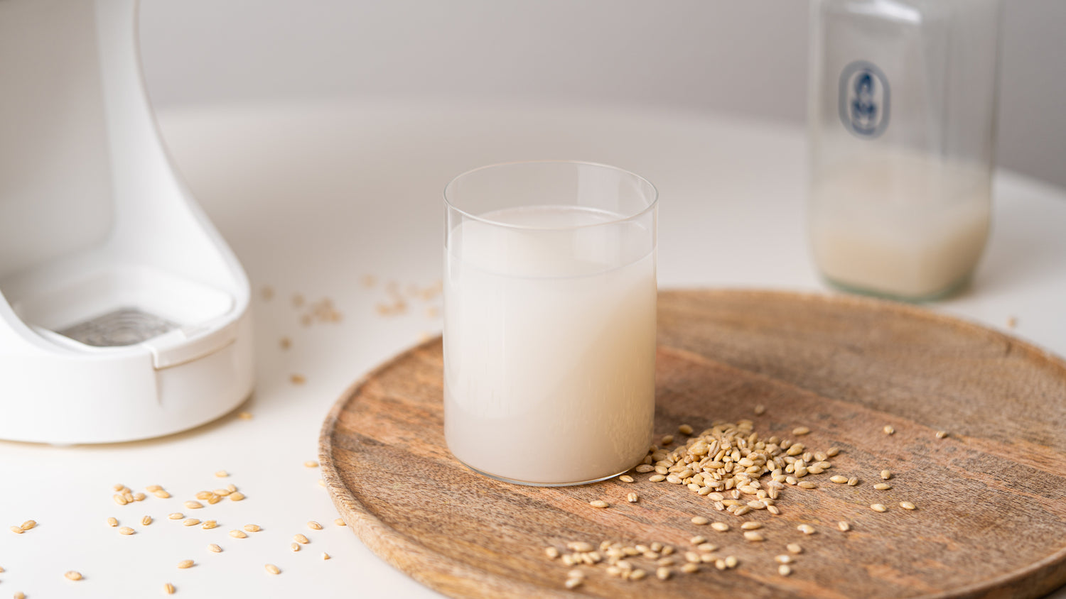 Barley Milk – milkyplant