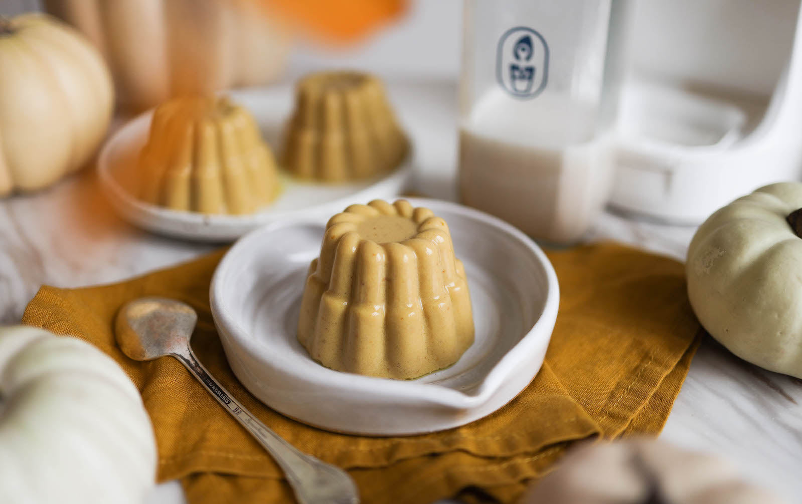 Creamy Cashew Cinnamon Pumpkin Milk and Pumpkin Panna Cotta – milkyplant