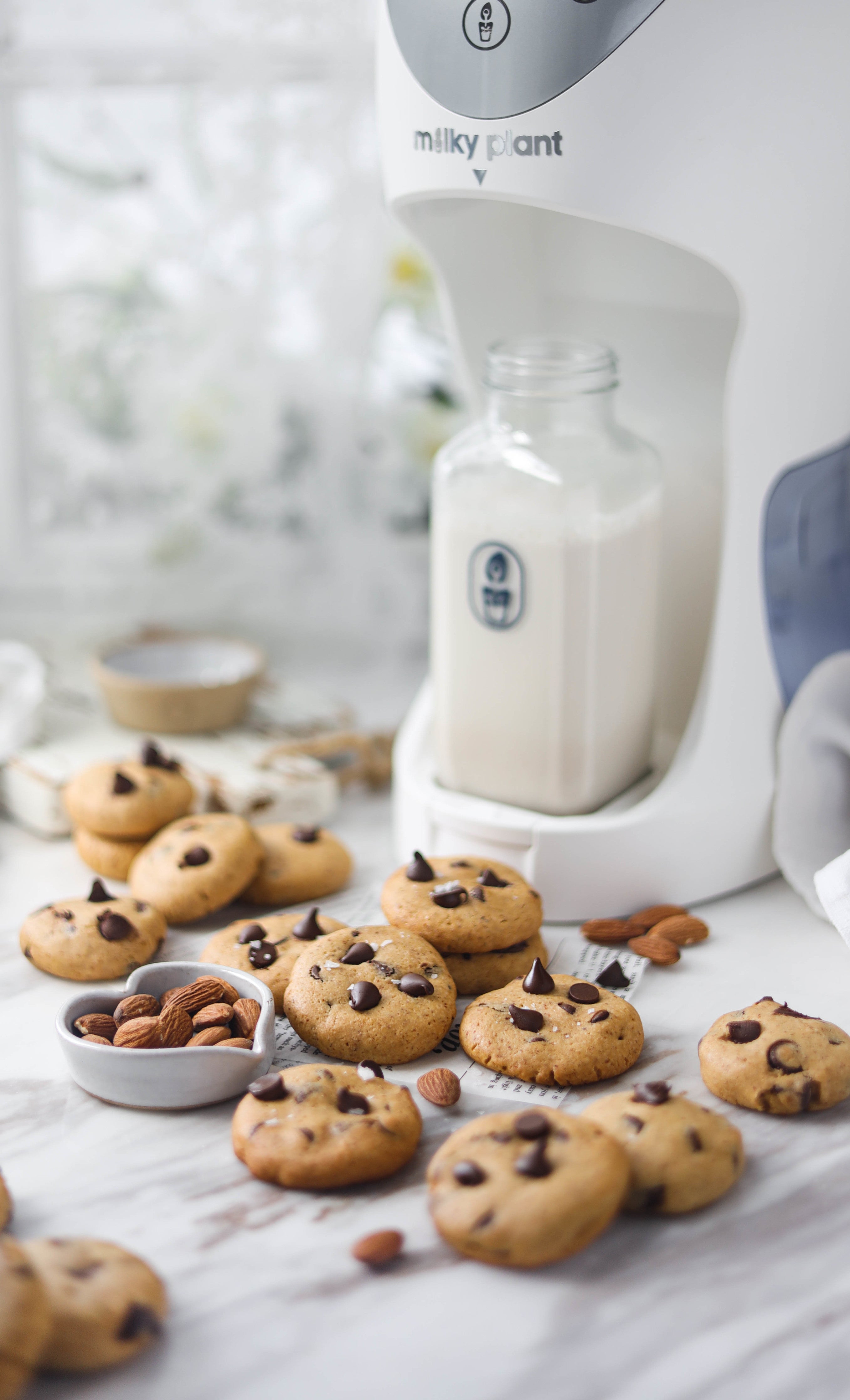 Almond Milk Pulp Chocolate Chip Cookie – milkyplant